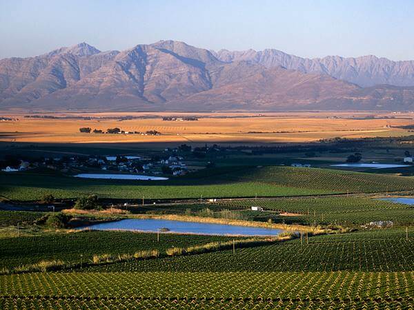 Region Swartland - Wählen aus dem vielfältigen Sortiment von Schubi Weine